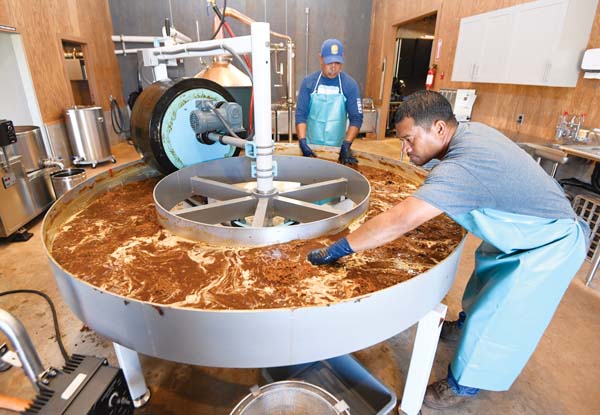 Agave farm finally seeing fruits of its labor | News, Sports, Jobs ...